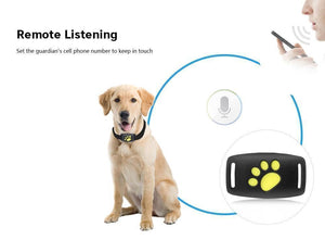GPS Pet Tracker Cat Locator Device – Trendyhousehold.co